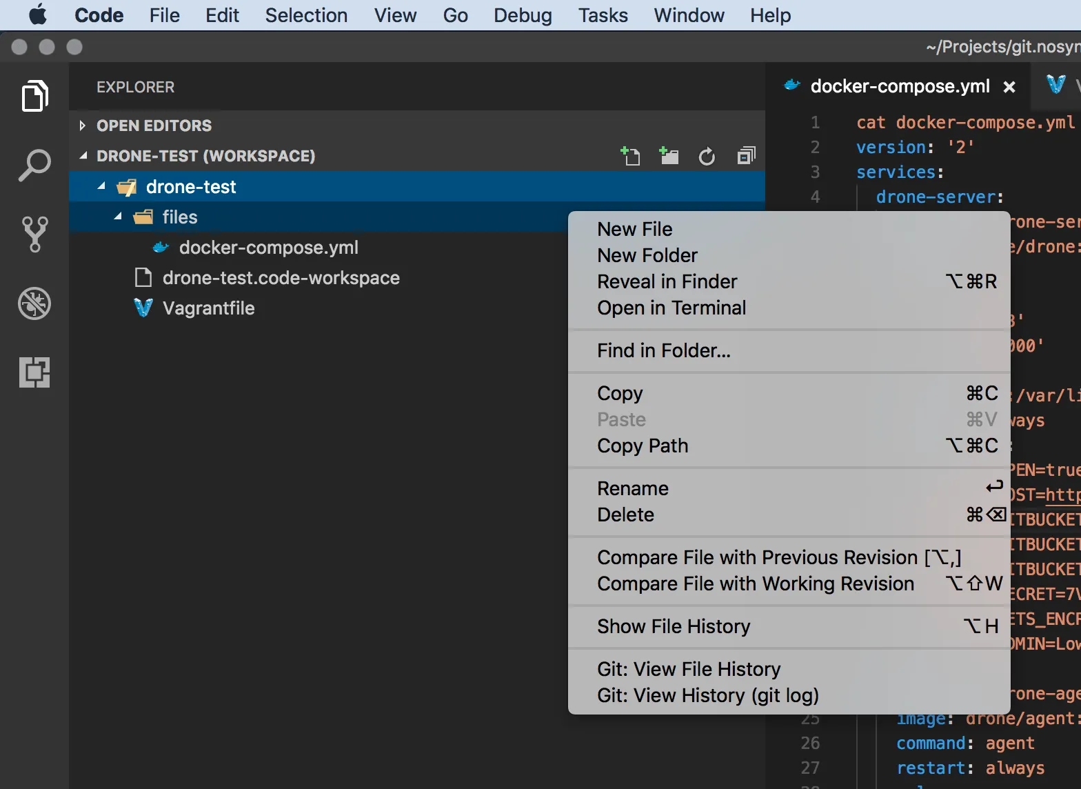 VSCode：如何在文件资源管理器中复制目录和文件？ visual-studio-code - Dev59