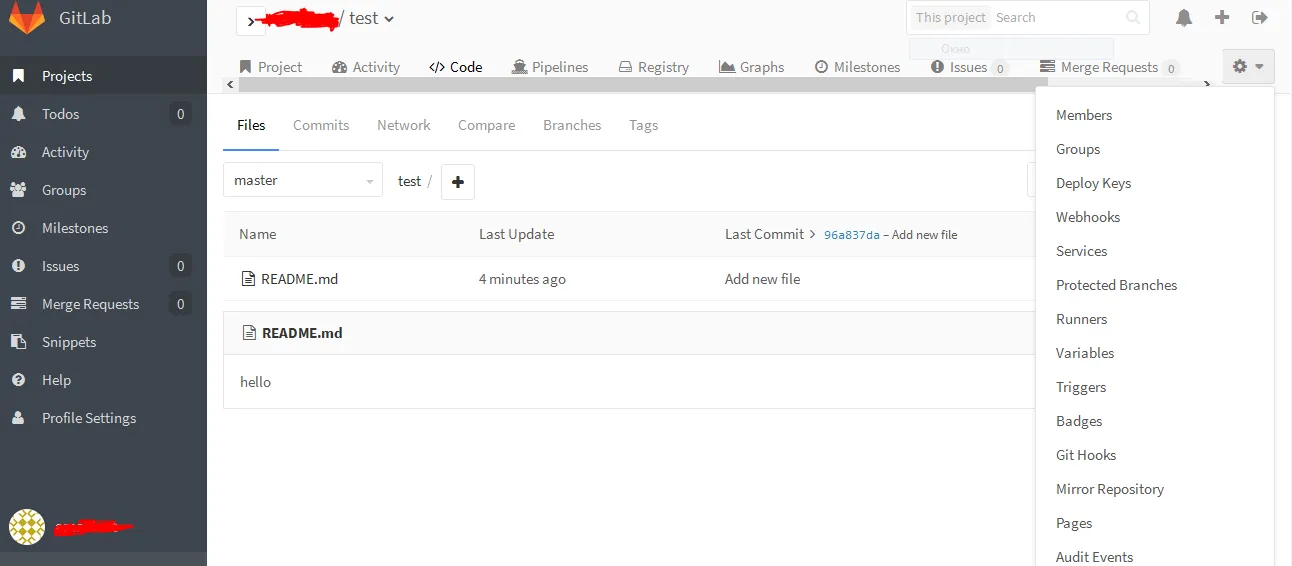在Gitlab中的项目设置 settings project - Dev59