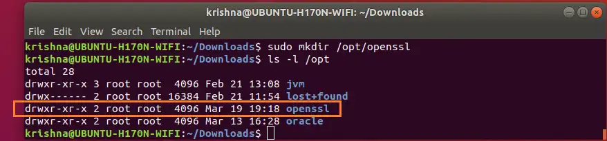 如何安装 OpenSSL 1.1.1 和 libSSL 软件包？ 18.04 - Dev59