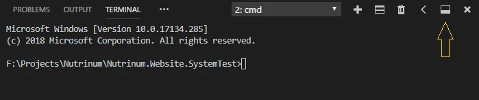 将终端移回底部 visual-studio-code - Dev59